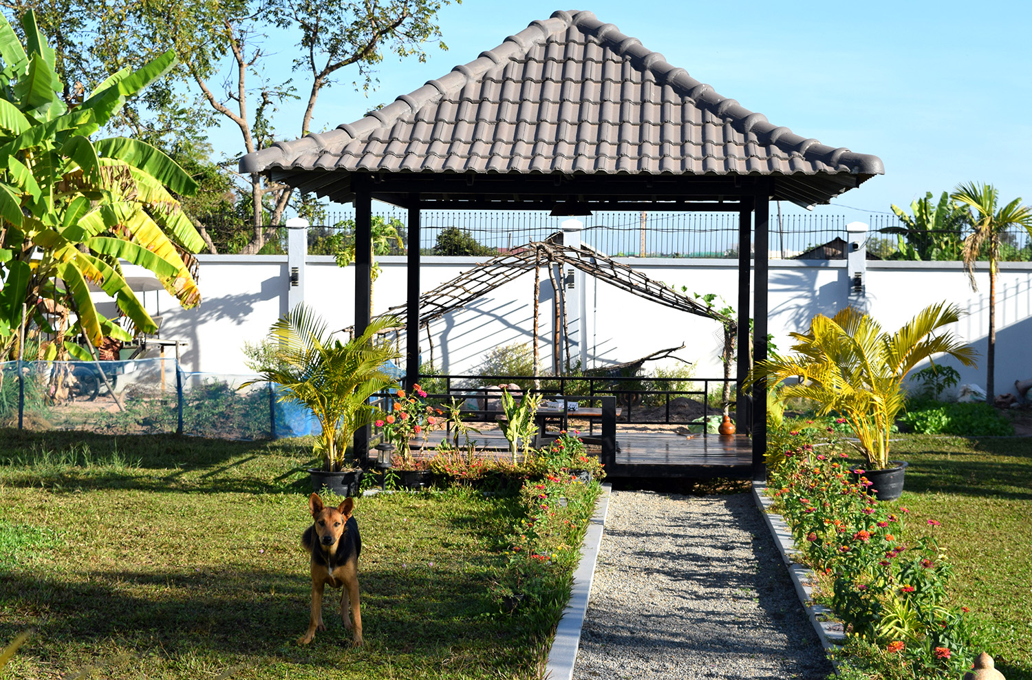 Villa Sabai – Gazebo and friendly Lucy | Sabai Adventures Cambodia
